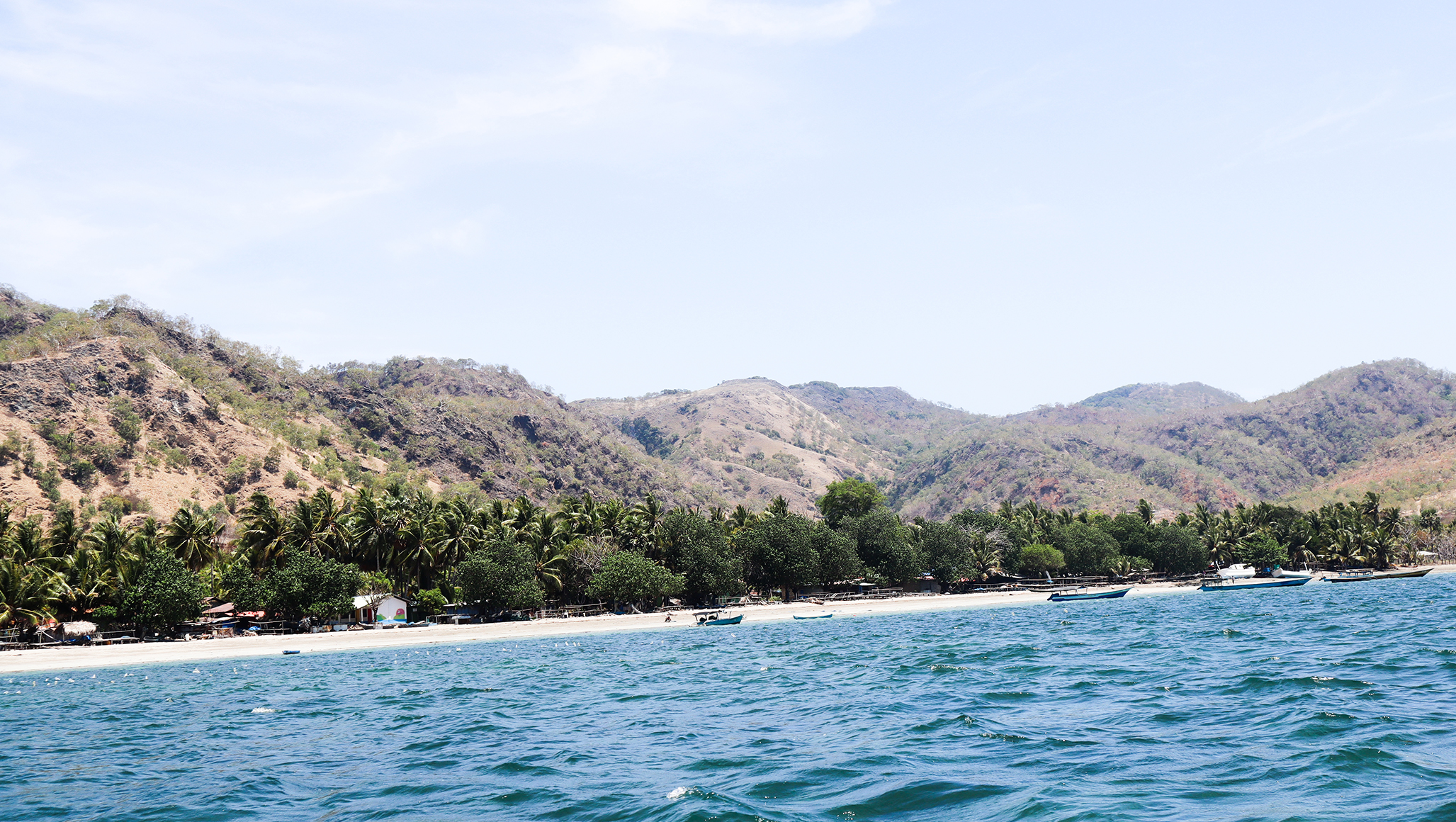 Conserving our fish for the future | MAF International